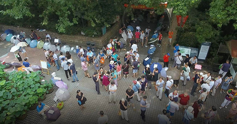 Shanghai Marriage Market Data